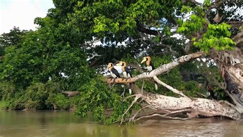 Akshay B On Linkedin Openai Sora Texttospeech Ai2024 Techtrends Aiinnovation