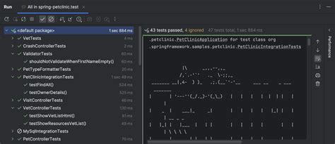 探索测试结果 Intellij Idea 文档