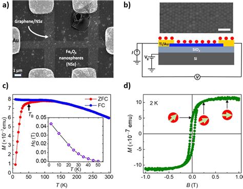 Graphenens Device And The Magnetic Properties Of Fe 3 O 4 Download Scientific Diagram Graphenens Device And The Magnetic Properties Of Fe 3 O 4 Download Scientific Diagram
