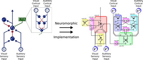 Brain Inspired Visual Auditory Integration Yielding Near Optimal Performance Modelling And