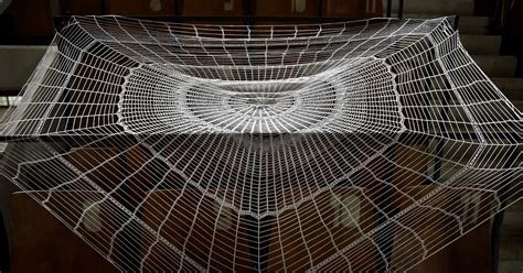 U Dvorani Mirza Delibašić Predstavljena Izložba Uhvaćeni Šejle Kamerić