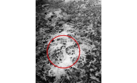 Wwii Pilot Claimed A 50 Foot Snake Attacked His Helicopter In The Congo