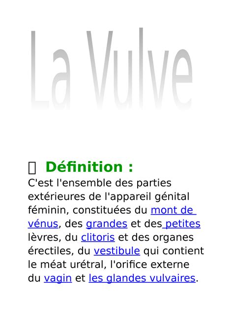 Lappareil Génital Dune Femme La Vulve Définition Cest L