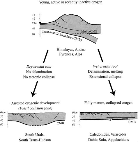 Model Seismic Cross Sections Of Orogens Showing The Evolution From A