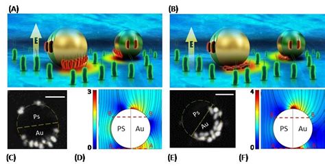 Selective Bacteria Trapping And Electroporation Schematic Download Scientific Diagram