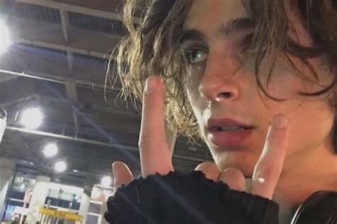 بخشی از اثار تیموتی شالامی تستچی