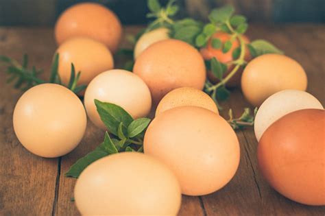 허브 로즈마리 백리향 바질 유기농 제품 다양한 크기와 색상의 계란 텍스트 공간이있는 나무 보드에 닭고기 계란 갈색에 대한 스톡 사진 및 기타 이미지 Istock