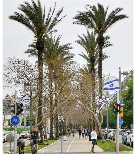 Pin By Bethsabee On Israel In 2022 Street View Dolores Park Park