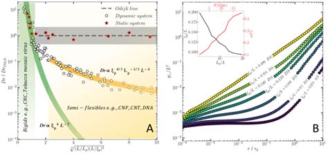 Diffusivity Of Nanofibers A Normalized Rotational Diffusivity Of