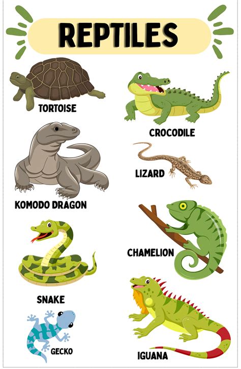 Best 12 Reptile Sort In English And Spanish Artofit