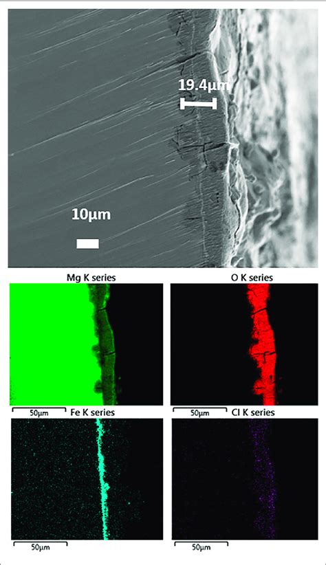Sem Images And Edx Mapping Of The Cross Section Of The Hybrid