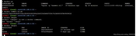 docker play with docker docker入门 csdn博客