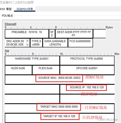计算机网络实验六 综合设计实验实验六综合设计实验 Csdn博客