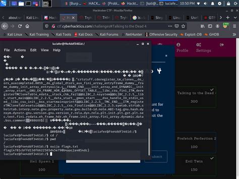 Hacktober 2020 Ctf Writeup Charcharbloggles