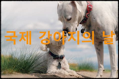 국제 강아지의 날 전 세계 모든 강아지를 사랑하고 보호하자는 취지로 제정된 날