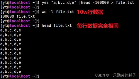 Linux 快速构造大数据文件linux大数据 Csdn博客