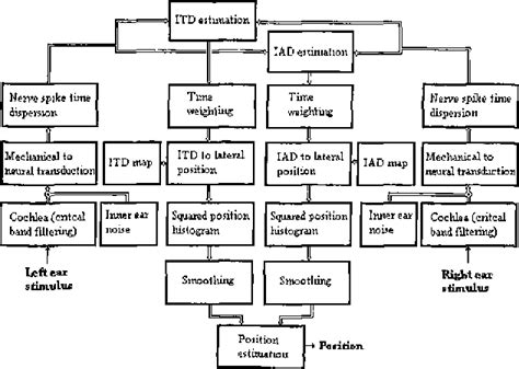 Figure 1 From Auditory Model For Lateralization And The Precedence Effect Semantic Scholar