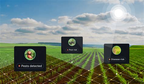 Satellite Analytics In Agriculture Advancing Yield Forecasting With