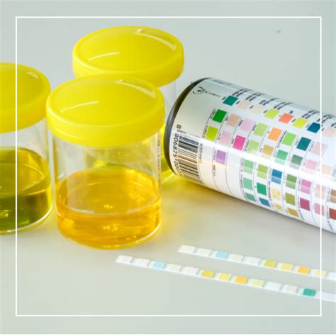 아침 소변 색깔로 알아보는 건강 상태 체크 똑똑건강