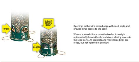 Squirrel Buster Mini Cofers Home And Garden