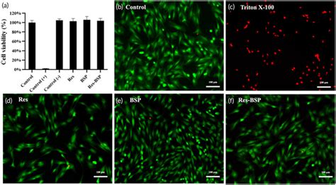 The Combination Of Resveratrol And Bletilla Striata Polysaccharide Decreases Inflammatory
