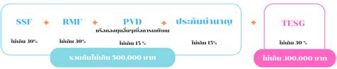 เจาะลึก Ssf Rmf และ Tesg กับสิทธิประโยชน์ลดหย่อนภาษี