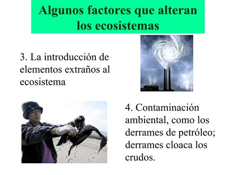 Ecosistemas Y Sus Componentes Basicosppt Ecosistemas Y Sus Componentes Basicosppt