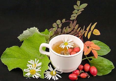 Сайт Здоровья Лечебные составы для лечения туберкулеза