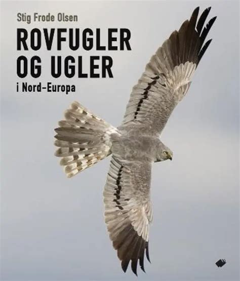 Rovfugler Og Ugler I Nord Europa Stig Frode Olsen Innbundet