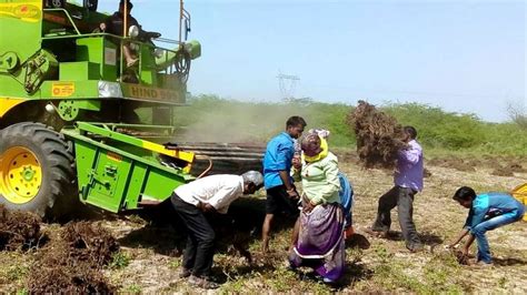 Kota Sangod Soybean Prices Falling Continuously After The Weather
