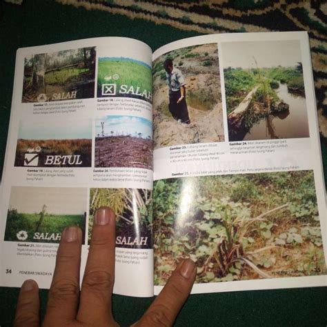 Jual Buku Panduan Budidaya Kelapa Sawit Untuk Berkebun Iyung Pahan Di
