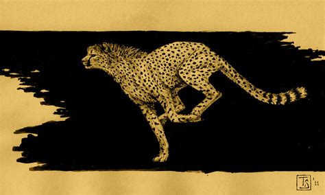 Swift Movement By Ts Cat On Deviantart