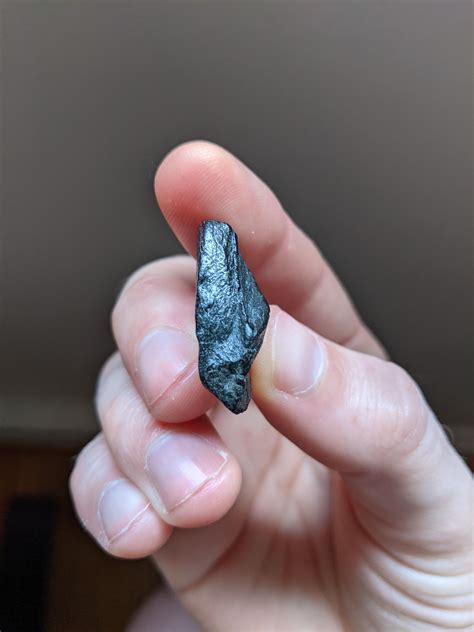 possible turtle shell fragment fossil id the fossil forum