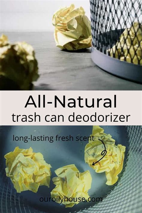 Trash Can Deodorizer Air Freshener Recipes Fast Food Items Smelly