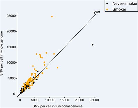 Single Cell Analysis Of Somatic Mutations In Human Bronchial Epithelial Cells In Relation To