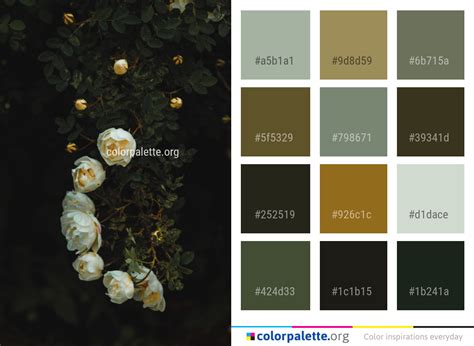 Sky Sun Field Color Palette
