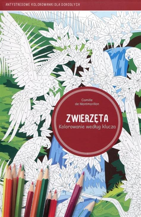 Zwierzęta Kolorowanie według klucza Antystresowe kolorowanki dla