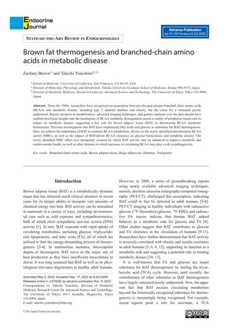 Pdf Brown Fat Thermogenesis And Branched Chain Amino Acids In