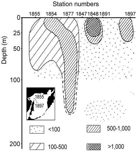 Vertical Zooplankton Biomass Distribution Mg M 3 Over The Trough