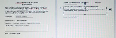 Aqbsenxing Protists Worksheet Algae Pictures Ingert