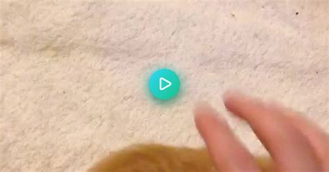 Flop Album On Imgur