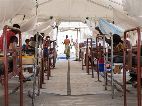 Malaria Science Biology Gcse Msf Teaching Resources