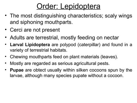 Insect Classification Lab22 Ppt