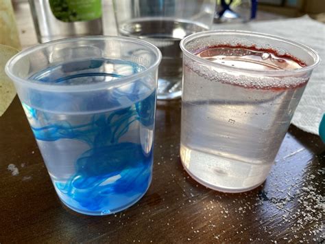 Salt Water Versus Fresh Water Experiment Curious And Cozy