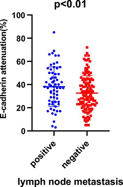 Relationship Between Reduced E Cadherin Expression And Lymph Node LN