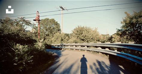 신호등이 있는 회색 콘크리트 도로 사진 Unsplash의 무료 캐나다 이미지