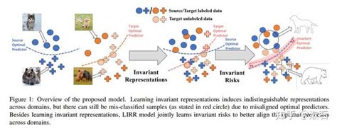 Learning Invariant Representations And Risks For Semi Supervised Domain