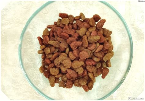 Корм для кошек Kitekat Мясной пир - «Мясной пир у нашего котика» | отзывы