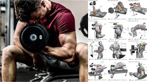 Want To Build Size Strength Or Endurance Then You Need To Know How Many Reps To Lift