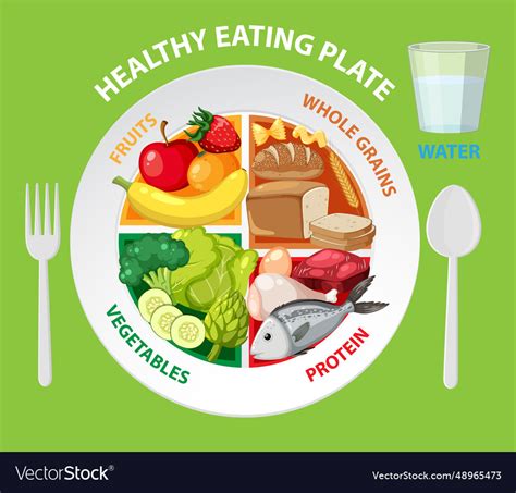 Healthy Eating Plate With Balanced Portions Vector Image